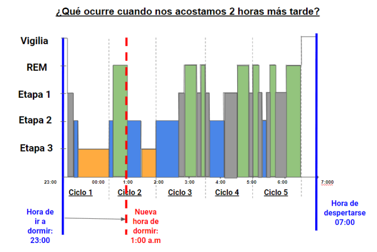 Fases del sueño: Beneficios del sueño REM y NO REM - Colchón Exprés